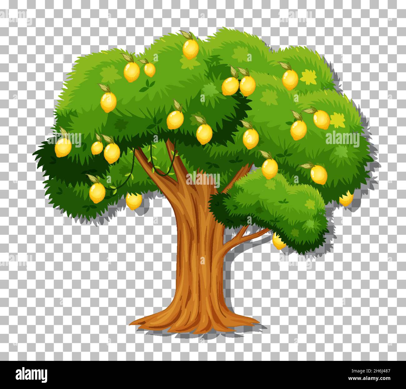 Lemon tree on transparent background illustration Stock Vector Image ...