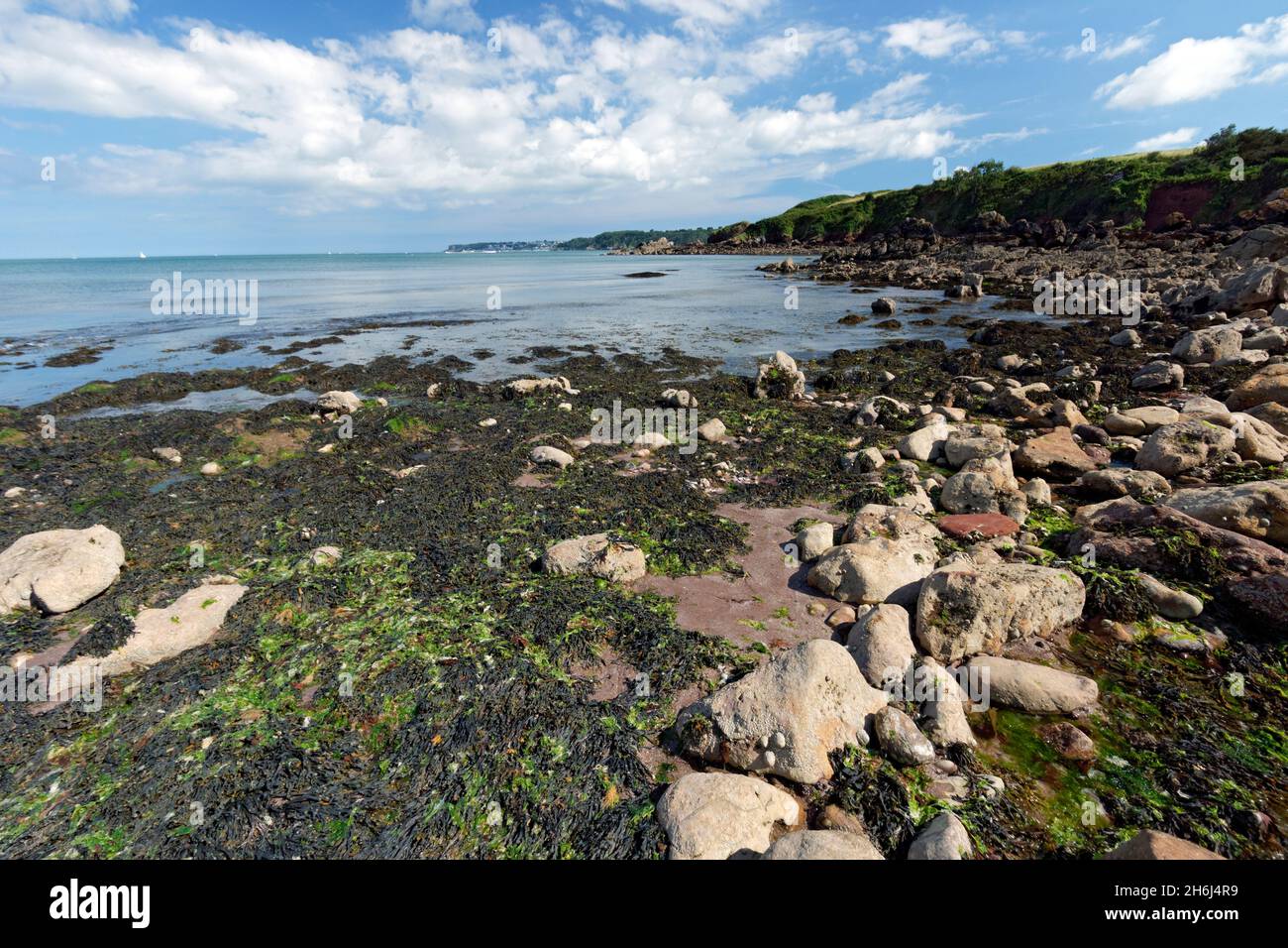 Saltern Beach near Paignton, South Devon Stock Photo - Alamy