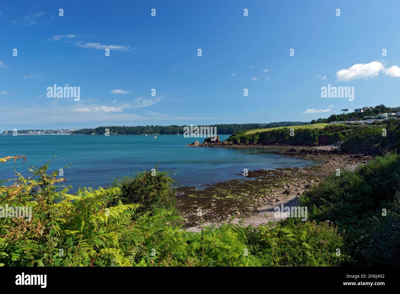 Saltern beach hi-res stock photography and images - Alamy