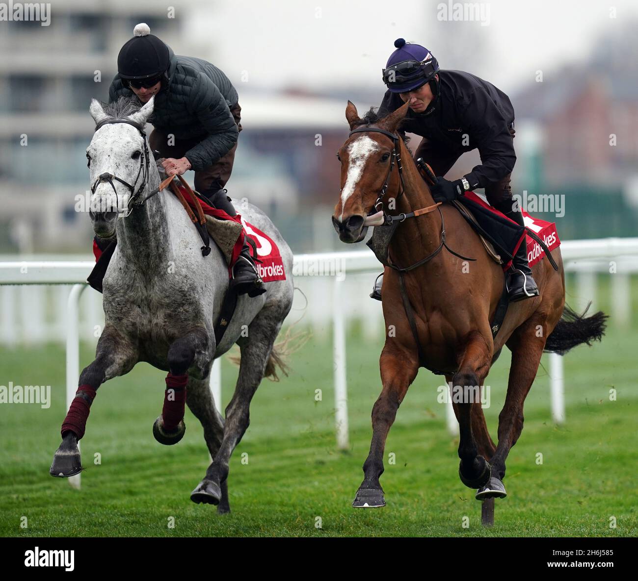 Gary moore horse hi-res stock photography and images - Alamy