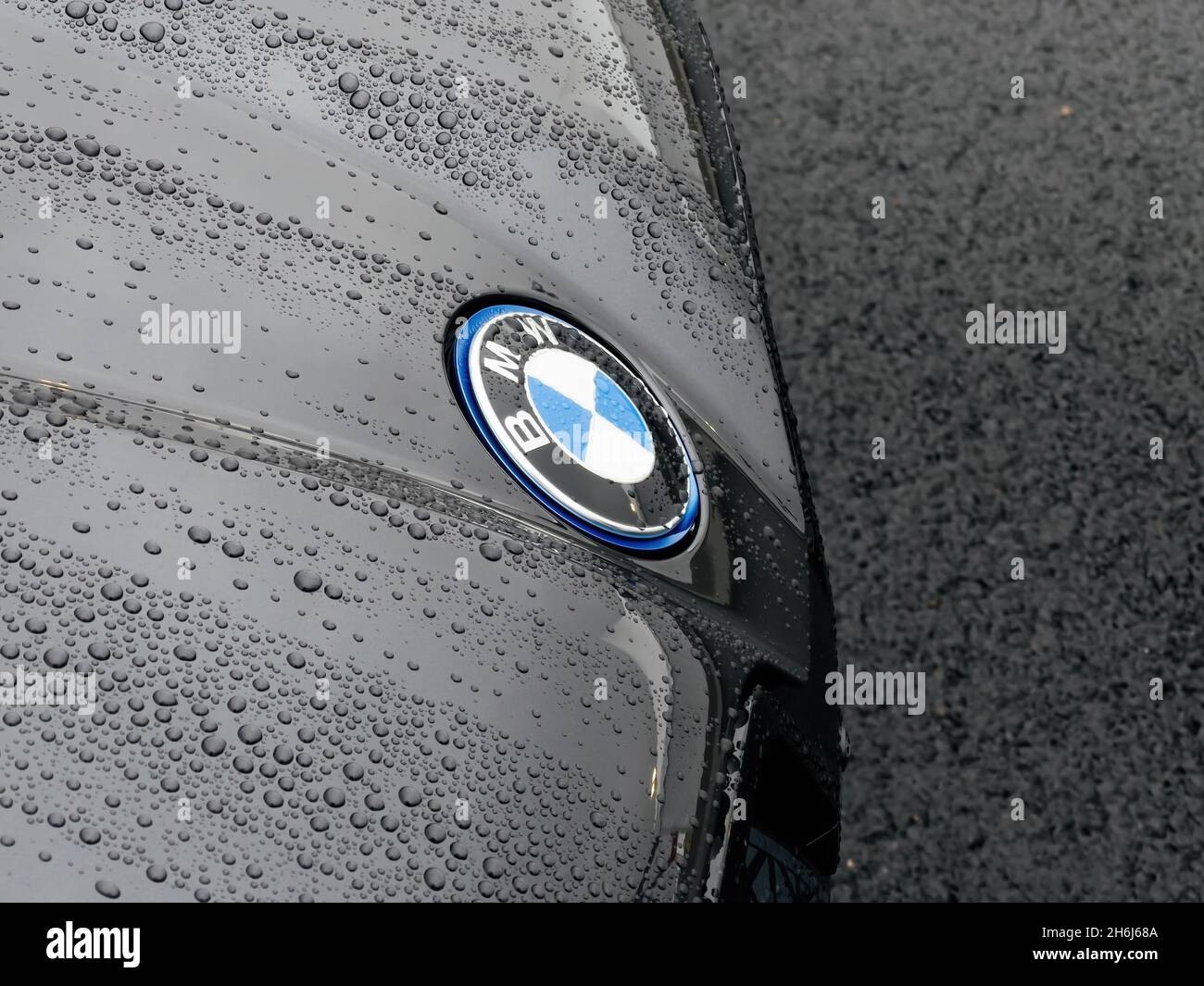 Logotype insignia covered with rain drops on new BMW iX xdrive40 326 hp ...