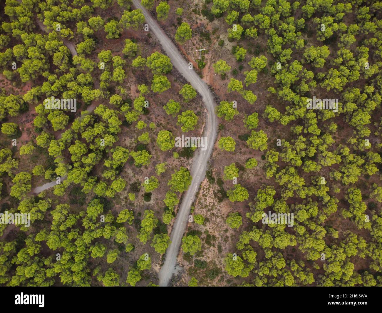 Aerial view of a road amidst trees in the forest in Vista, USA Stock ...