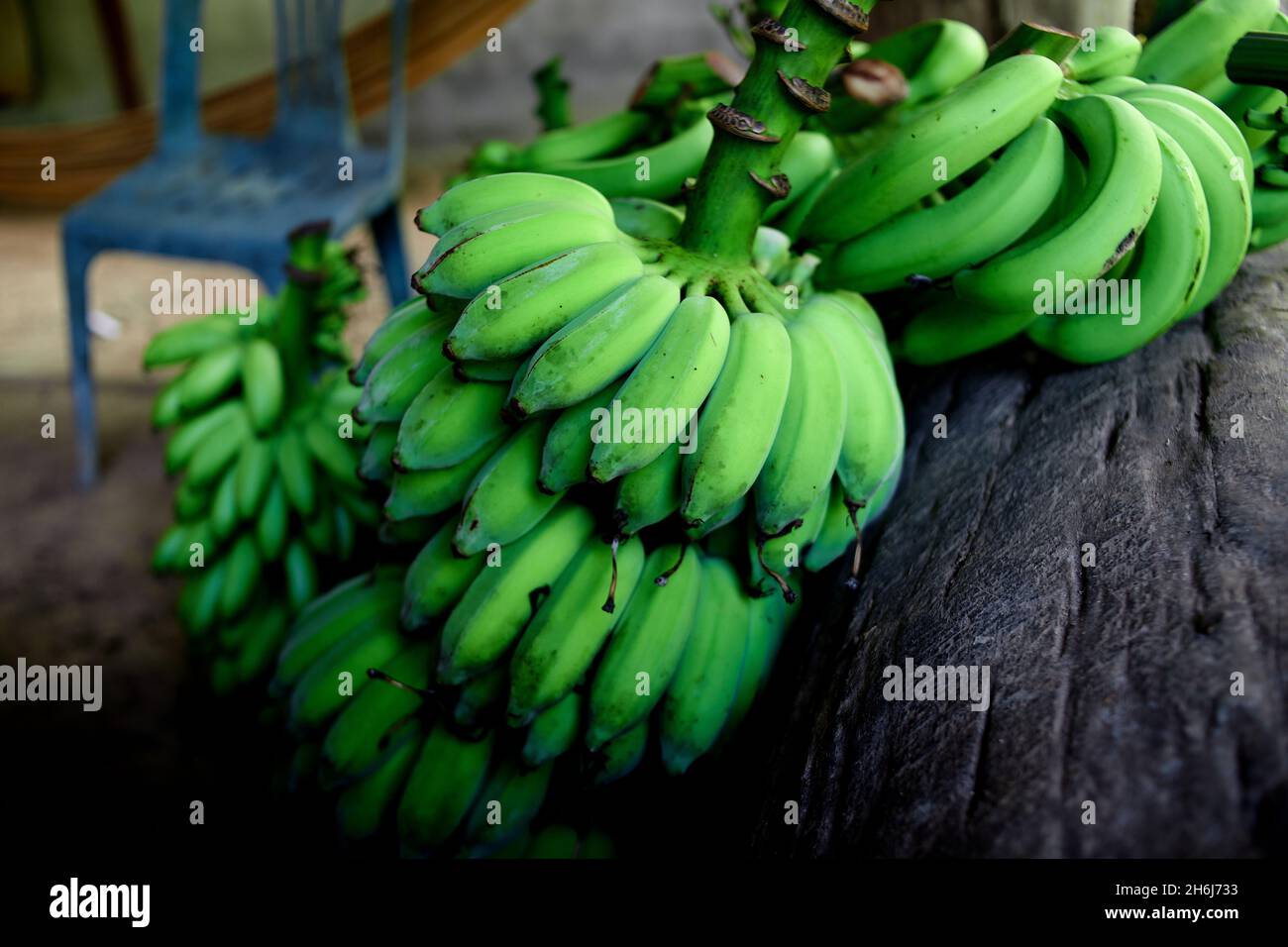Bunch of fresh green banana Stock Photo - Alamy