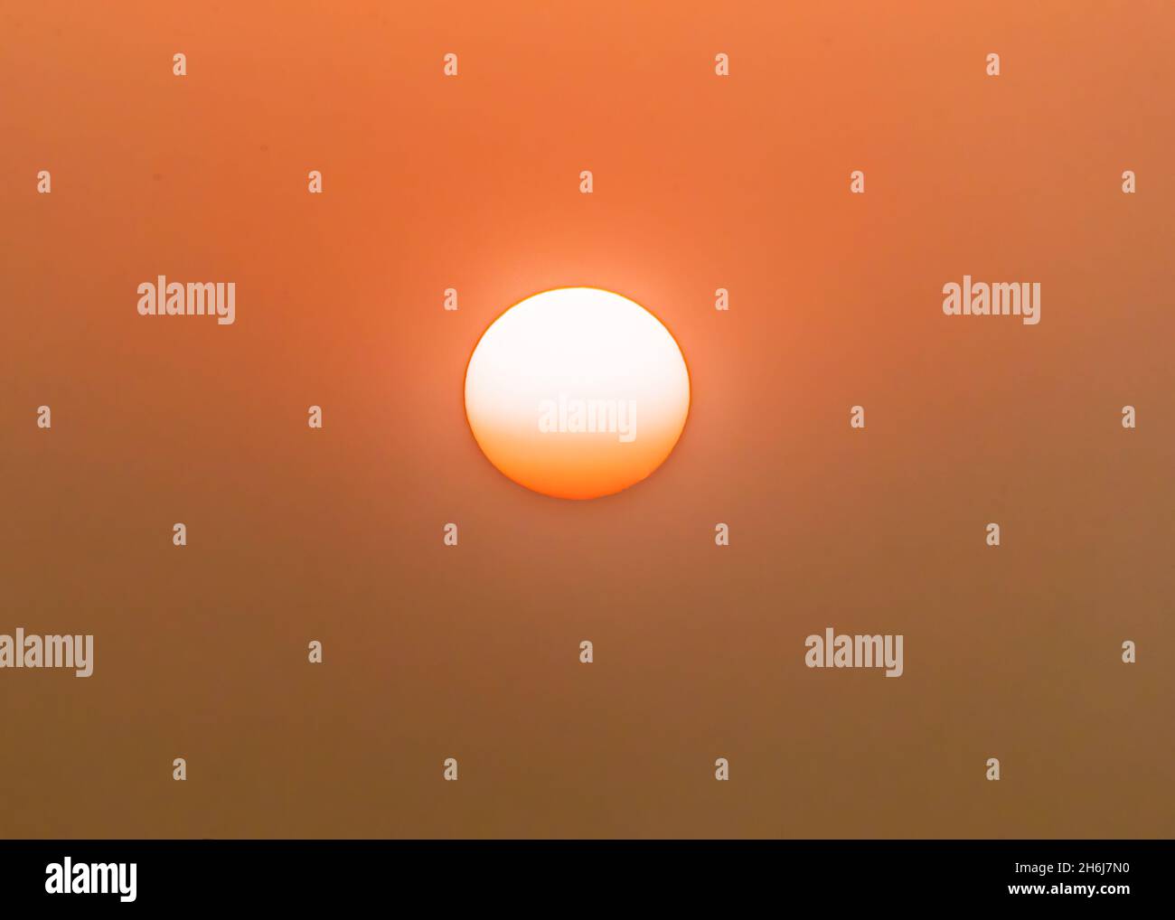 Sun set and golden light in a clear evening Stock Photo - Alamy