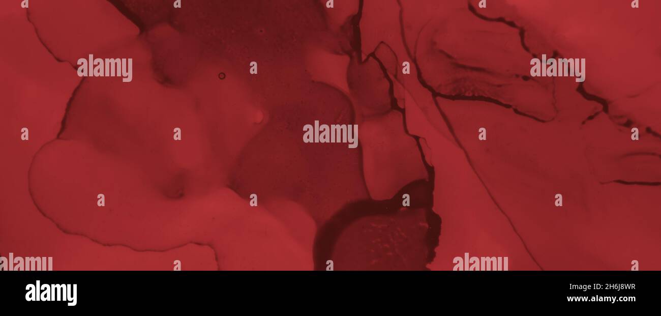 Grunge Blood Background. Rose Ink Wallpaper. Horror Spatter Black ...