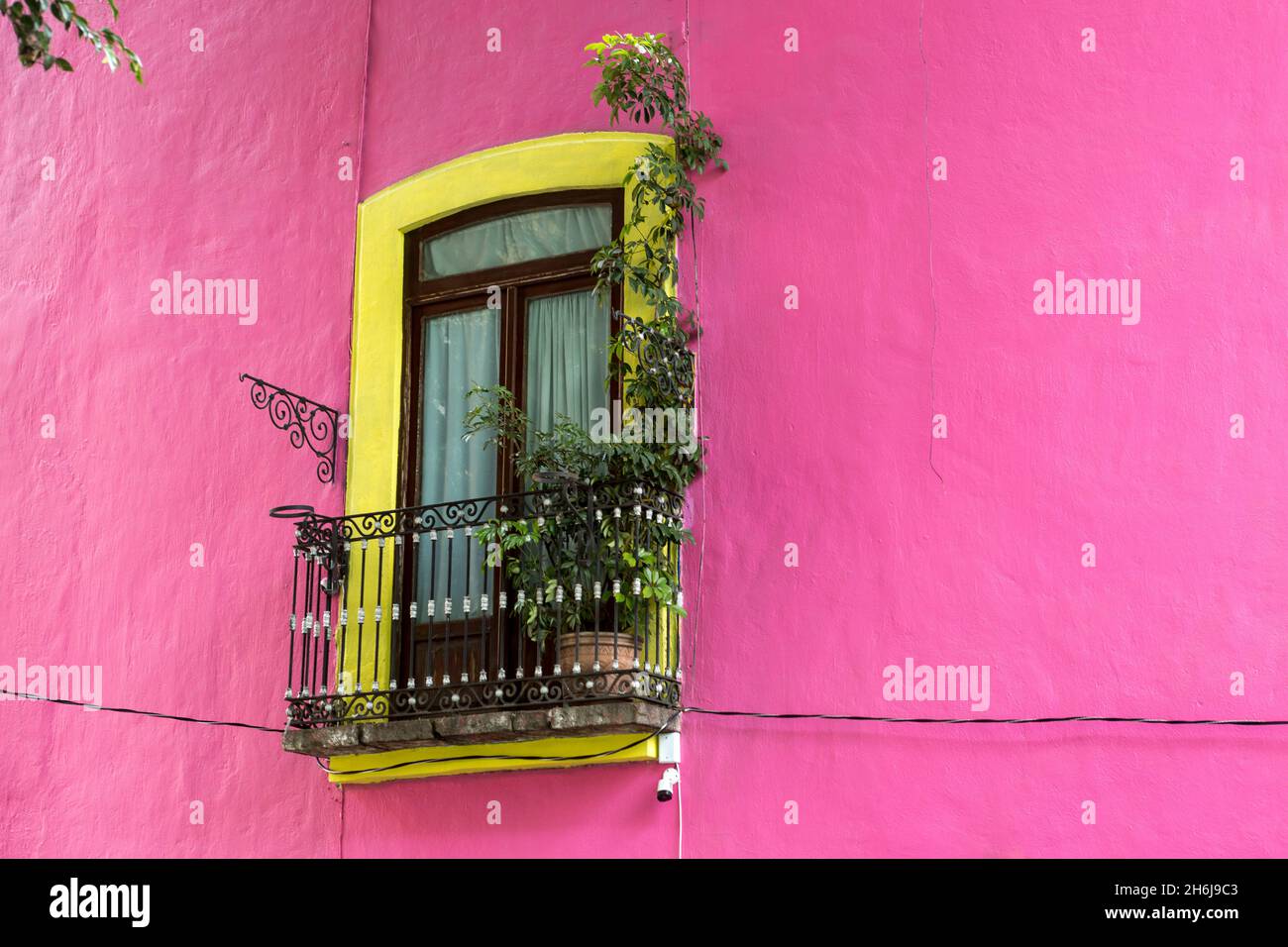 Street view of Mexican colonial style window with yellow frame on pink ...