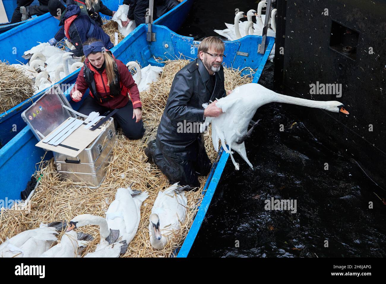 Hamburg, Germany. 16th Nov, 2021. Lisa Maria Otte, (Bündnis 90/Grüne ...