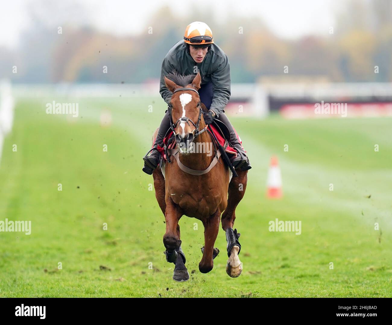 Metier horse racing hi-res stock photography and images - Alamy