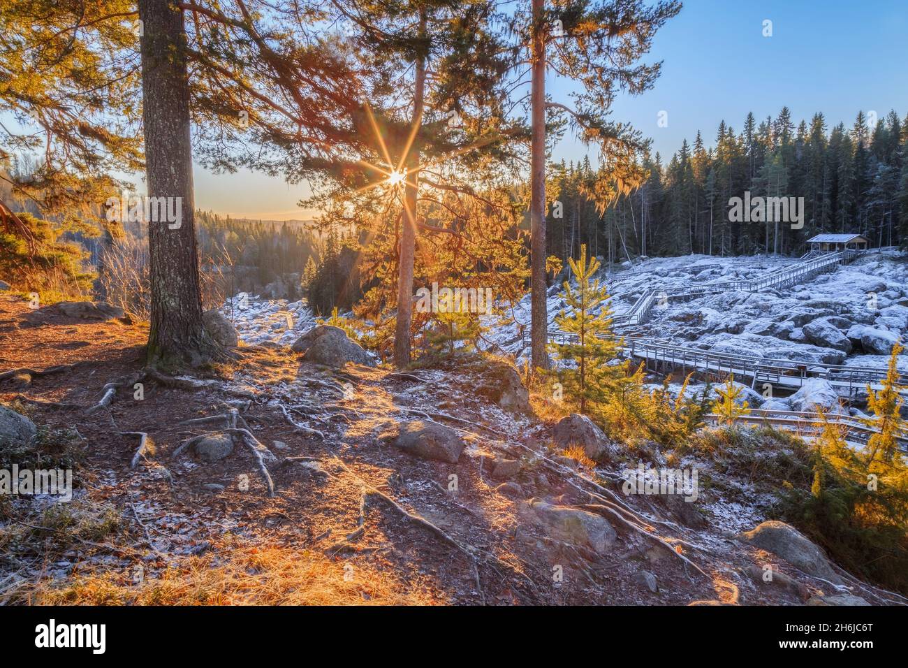 roots and tree in rock landscape with snow and sun flares Stock Photo ...