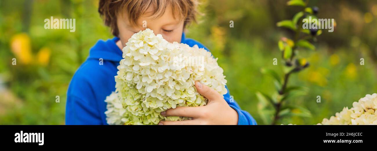 Boy enjoying pink flowers in the garden BANNER, LONG FORMAT Stock Photo ...