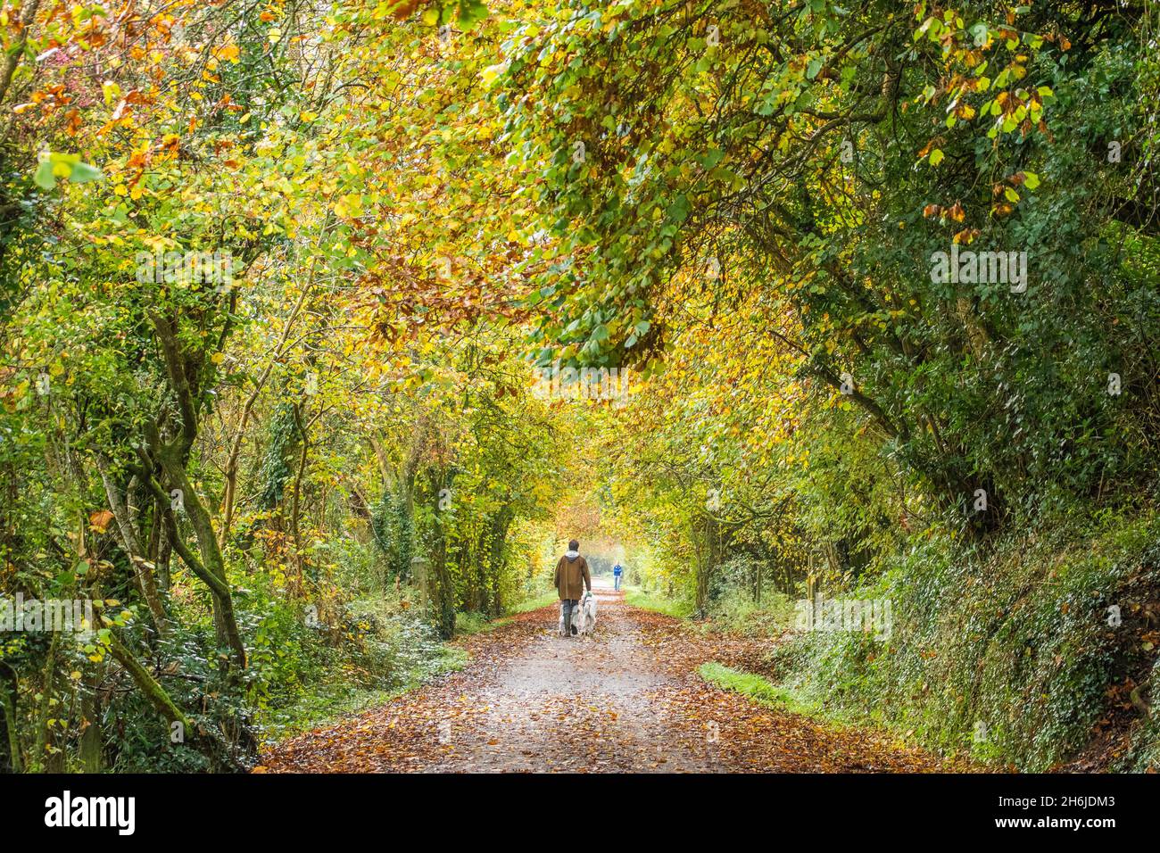 The camel trail cornwall wildlife hi-res stock photography and images ...