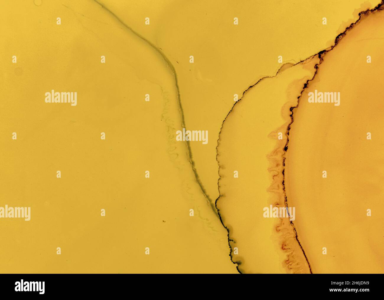 Acrylic backdrop hi-res stock photography and images - Alamy