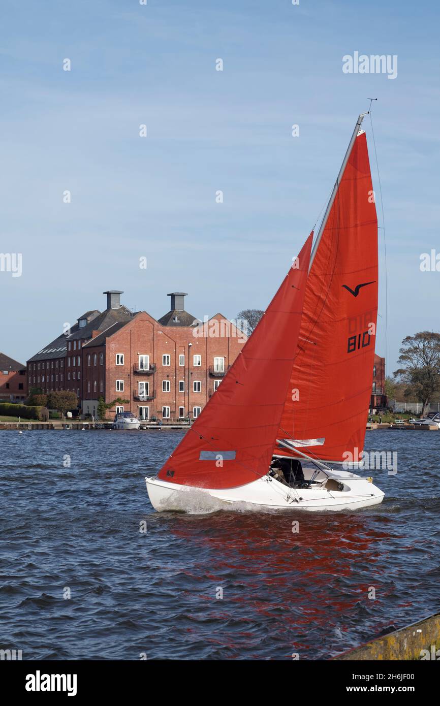 Dinghy sail sailing norfolk hi-res stock photography and images - Alamy
