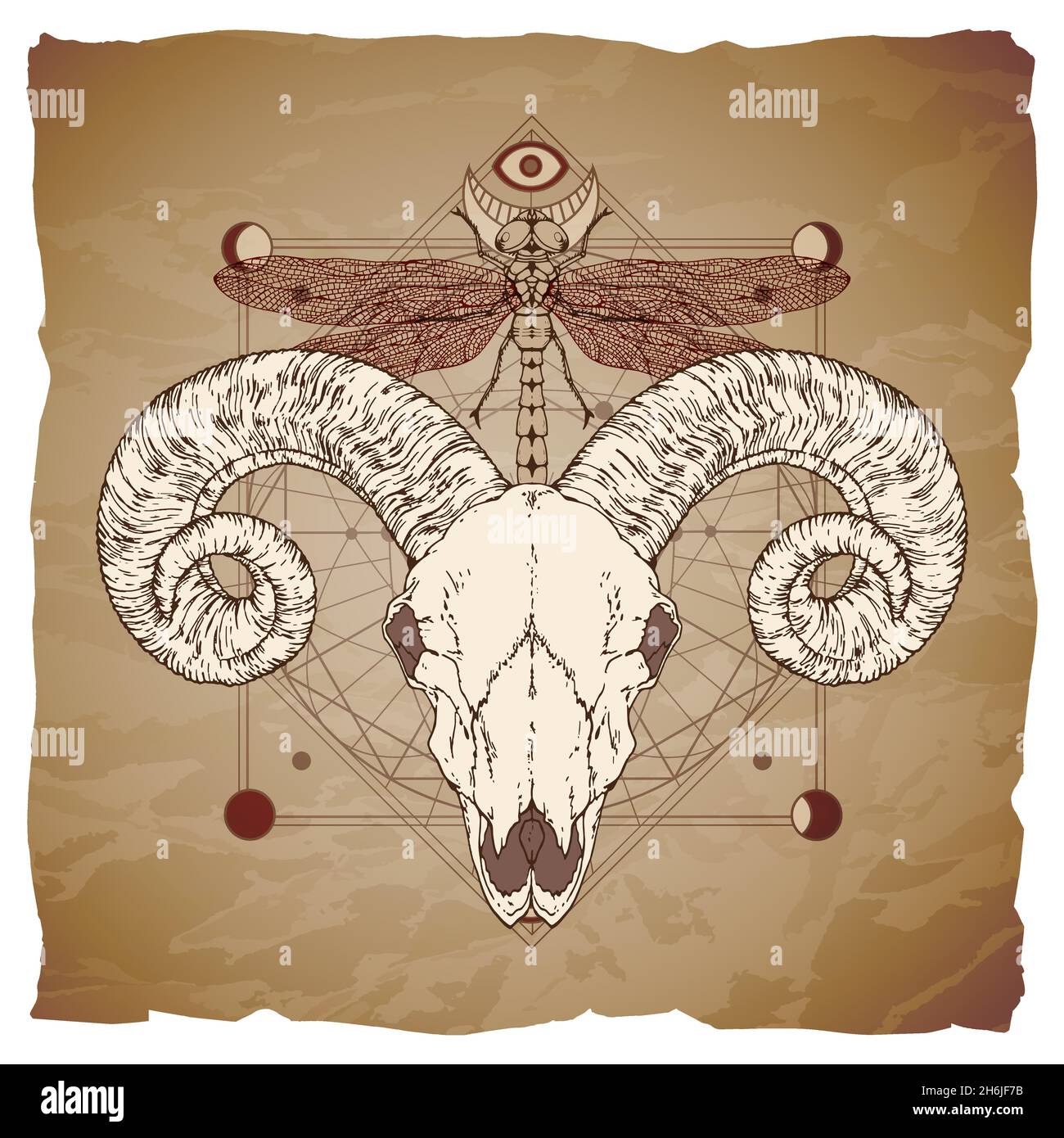 Aries Ram Skull Tattoos