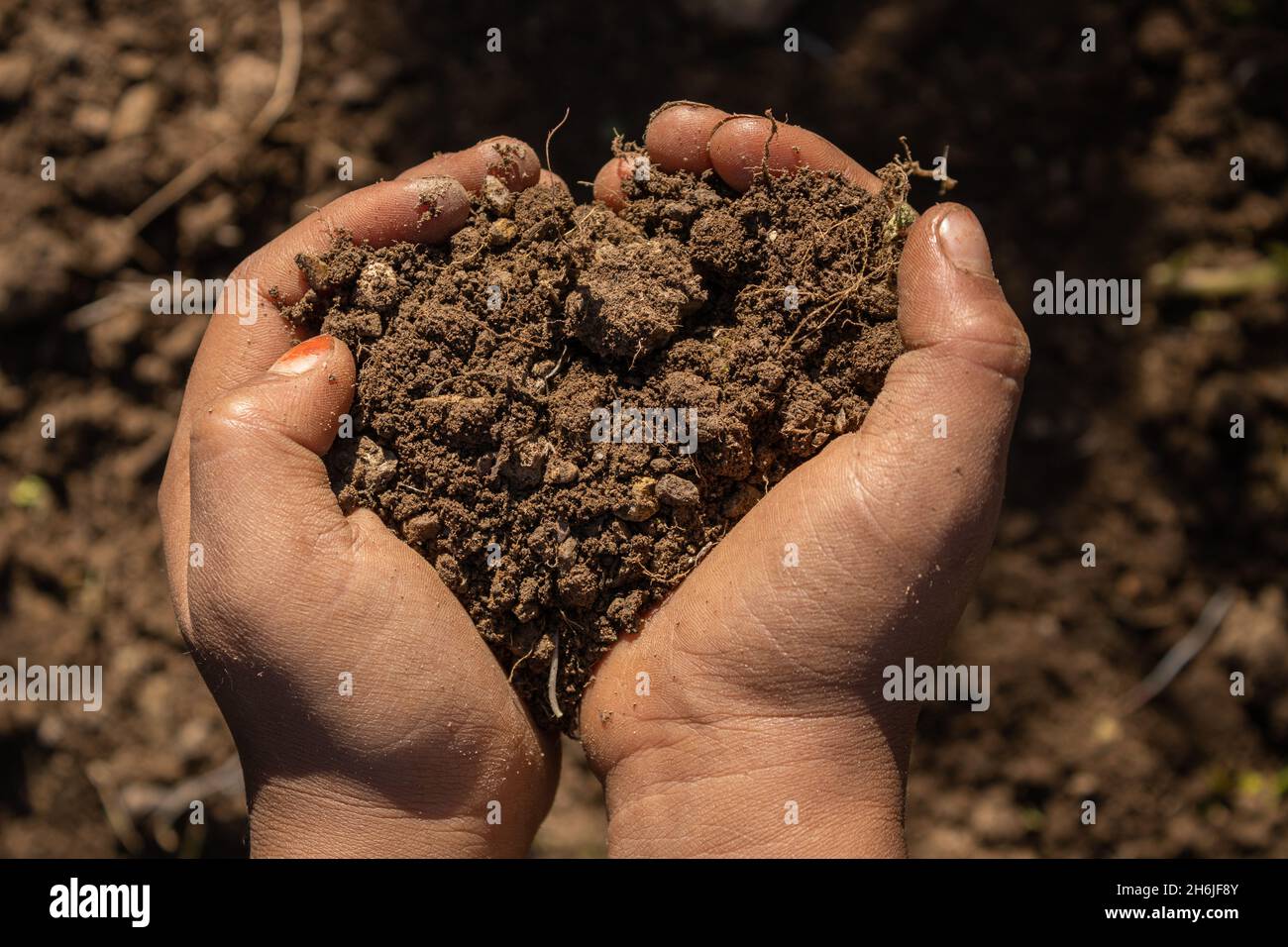 Girl showing dirt hands hi-res stock photography and images - Alamy