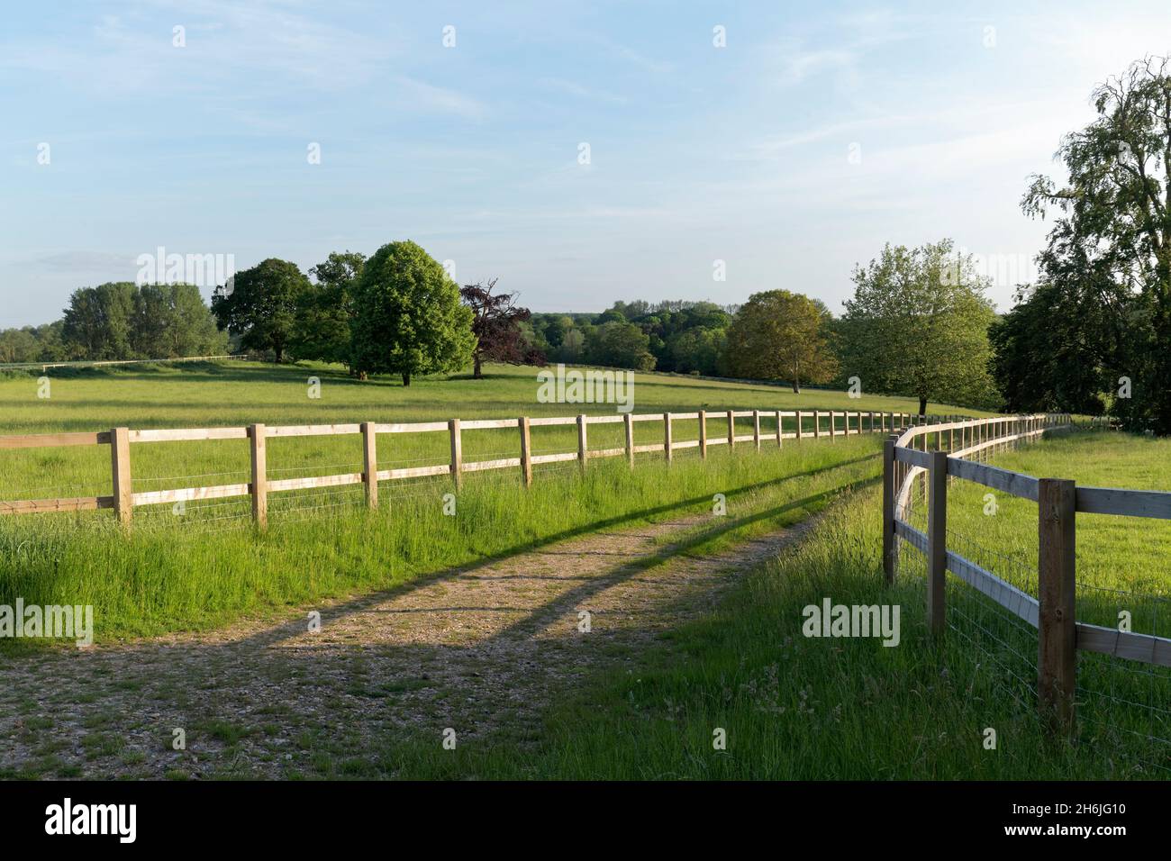 Countryside with trees with wooden fence Stock Photo - Alamy