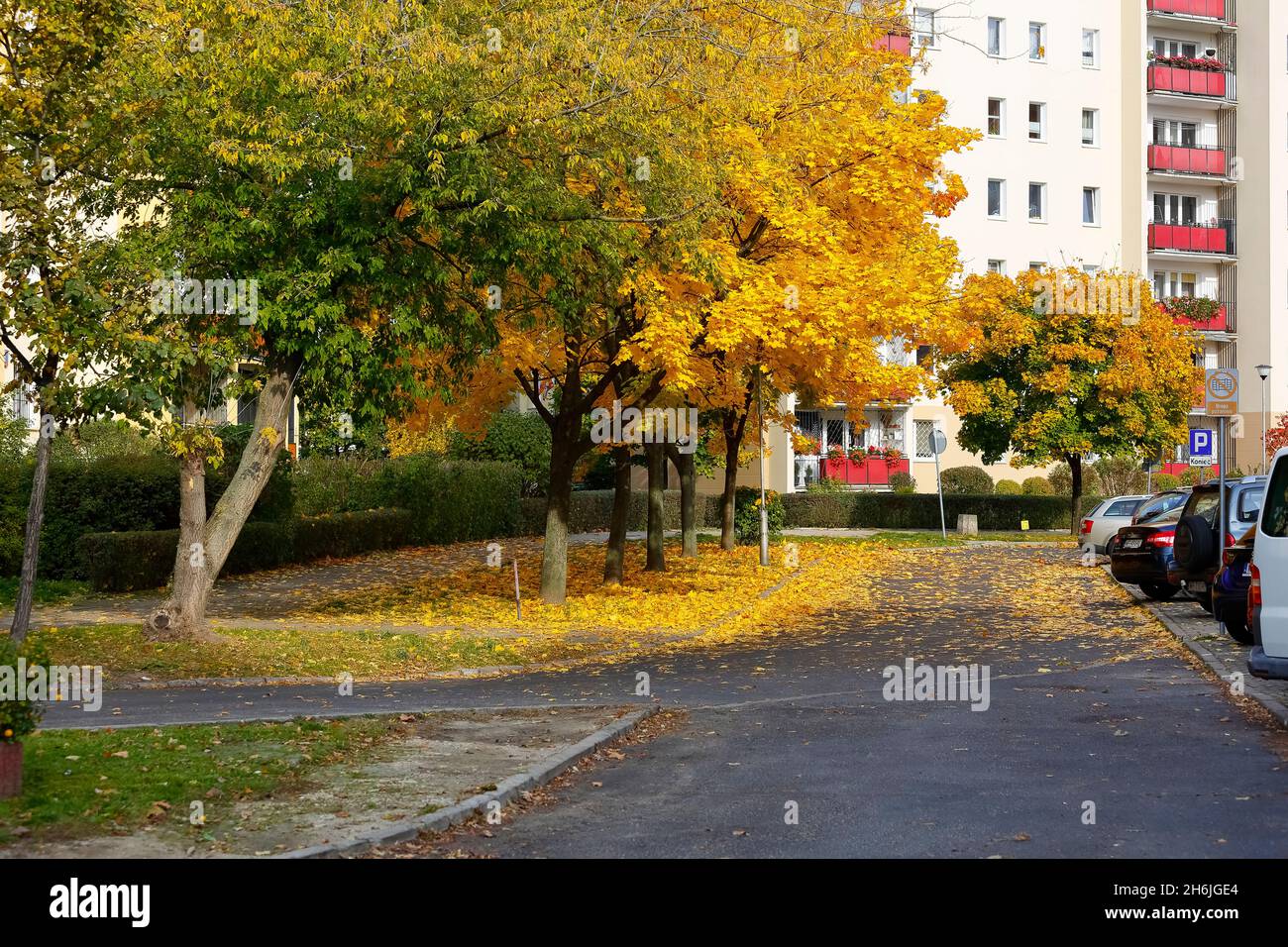 Warsaw, Poland - October 20, 2021: Trees in the Goclaw housing district ...
