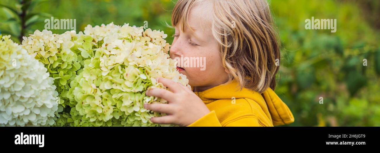 Boy enjoying pink flowers in the garden BANNER, LONG FORMAT Stock Photo ...
