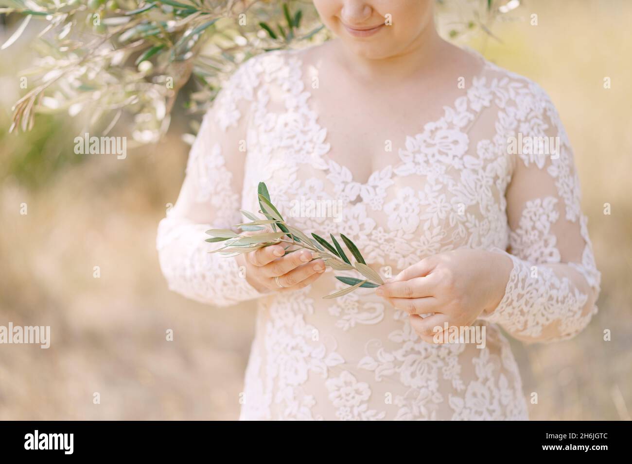 Woman under olive tree hi-res stock photography and images - Alamy