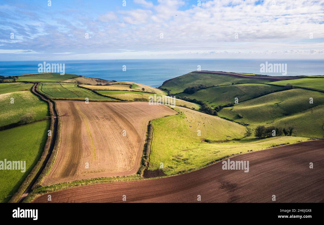 Autumn over Devon fields and farms from a drone, Kingswear, Brixham ...