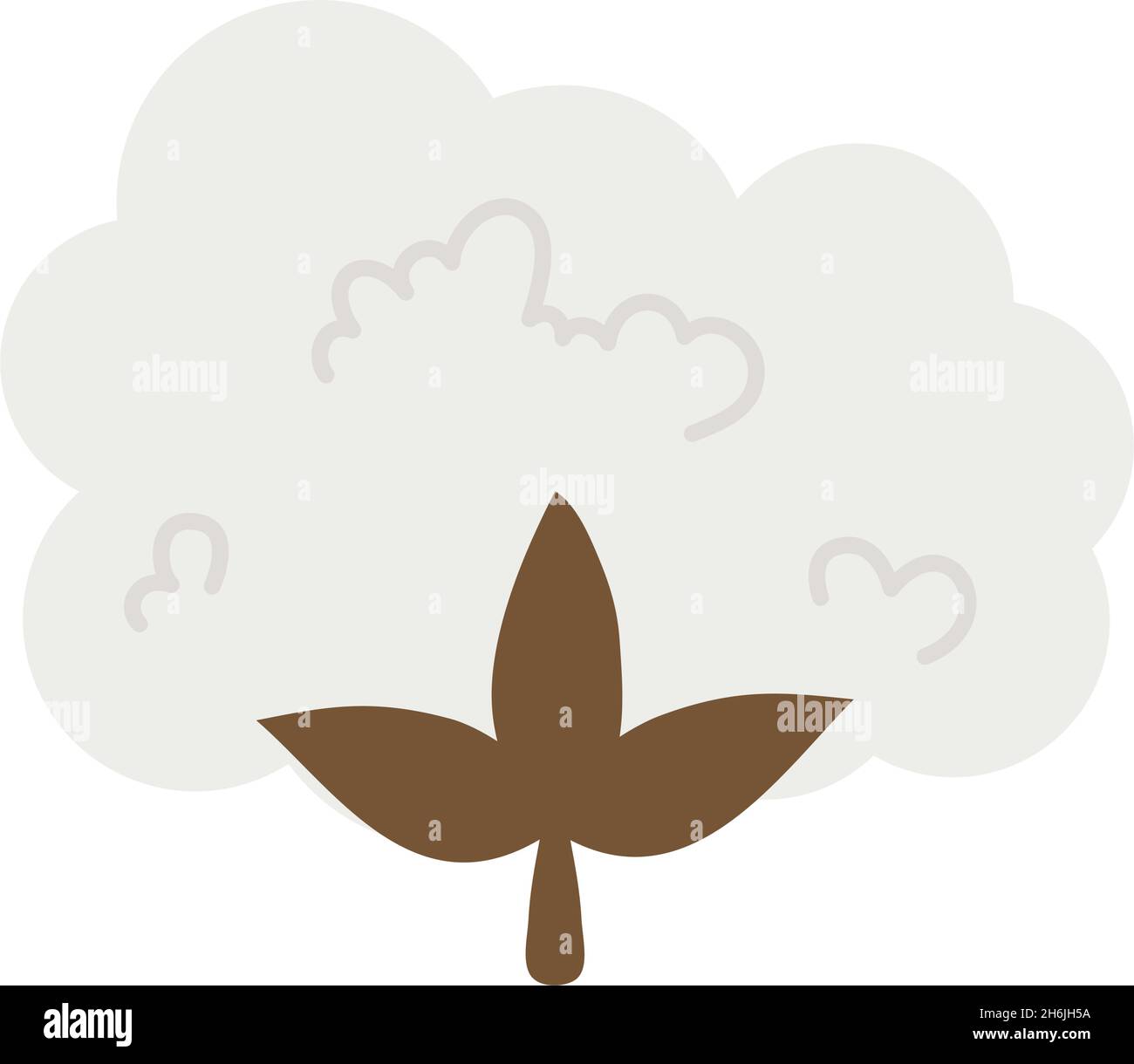 cotton boll on white background Stock Vector Image & Art - Alamy