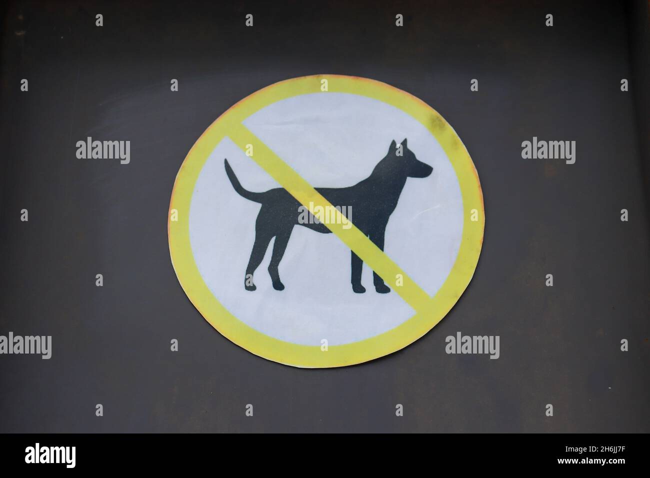 Dark wall with dogs not allowed sign Stock Photo - Alamy