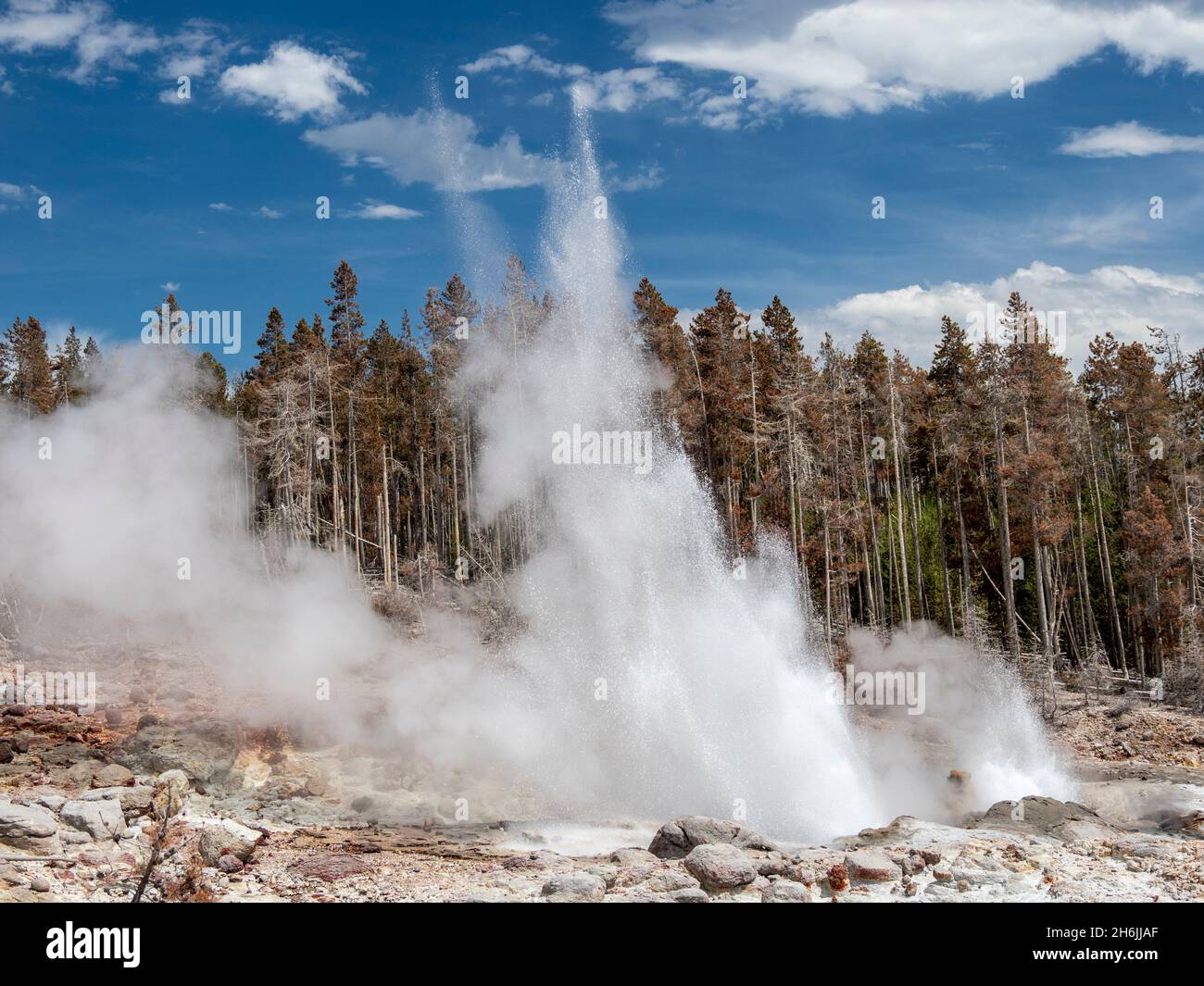 Steamboat Geyser, the worlds tallest active geyser, steaming in ...