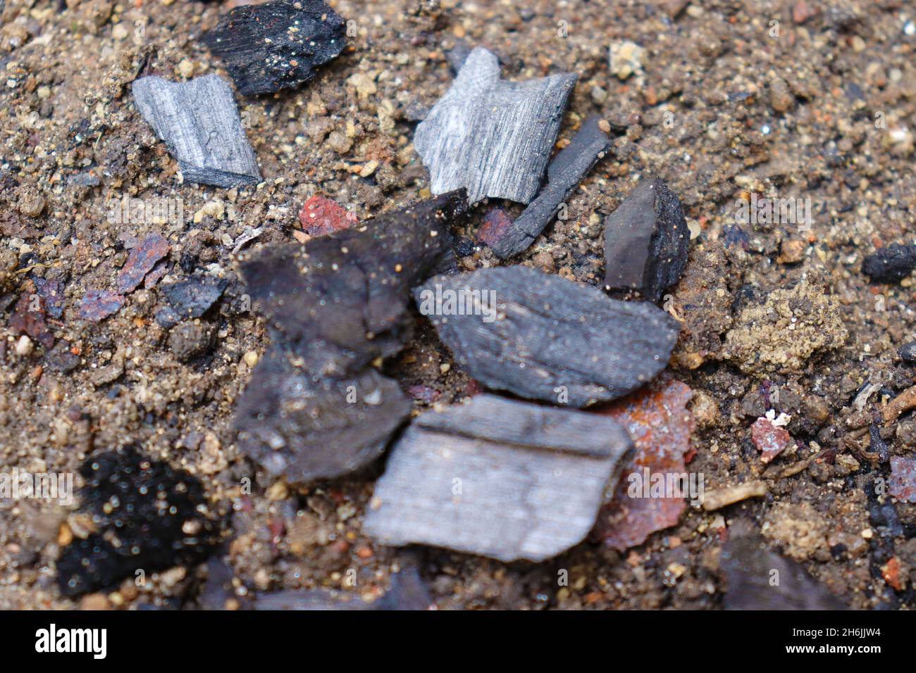 Small soil hi-res stock photography and images - Alamy