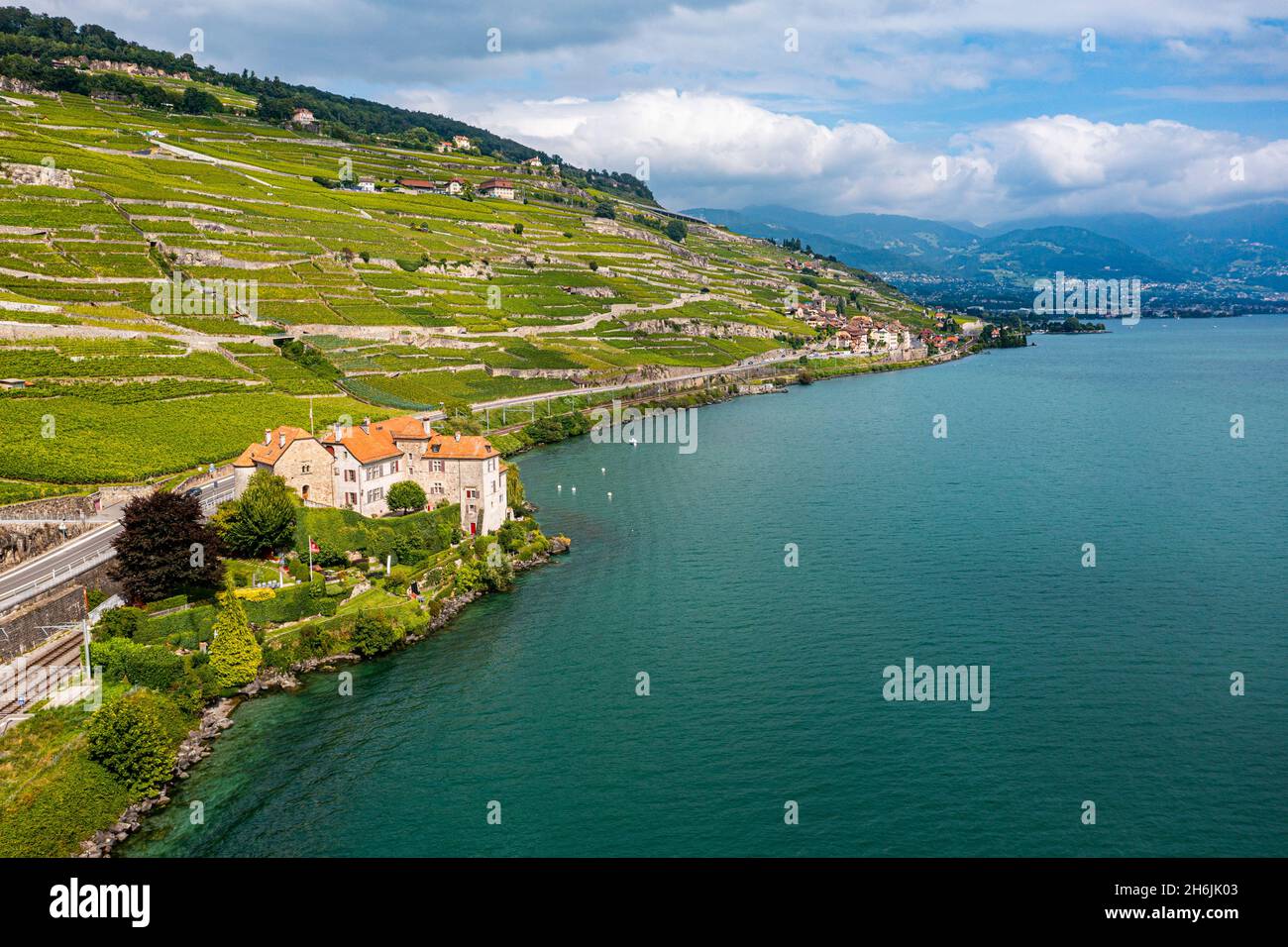 Aerial of the Lavaux Vineyard Terraces, UNESCO World Heritage Site ...