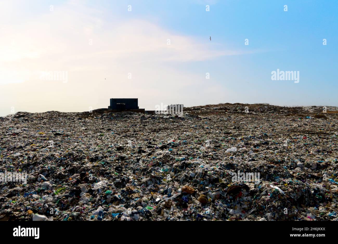 Garbage dump with plastic bags and food waste. Recycling of waste on ...