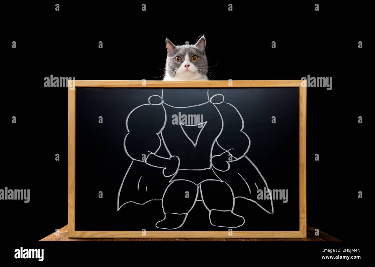 cat with a muscle man sketch concept of strength Stock Photo - Alamy