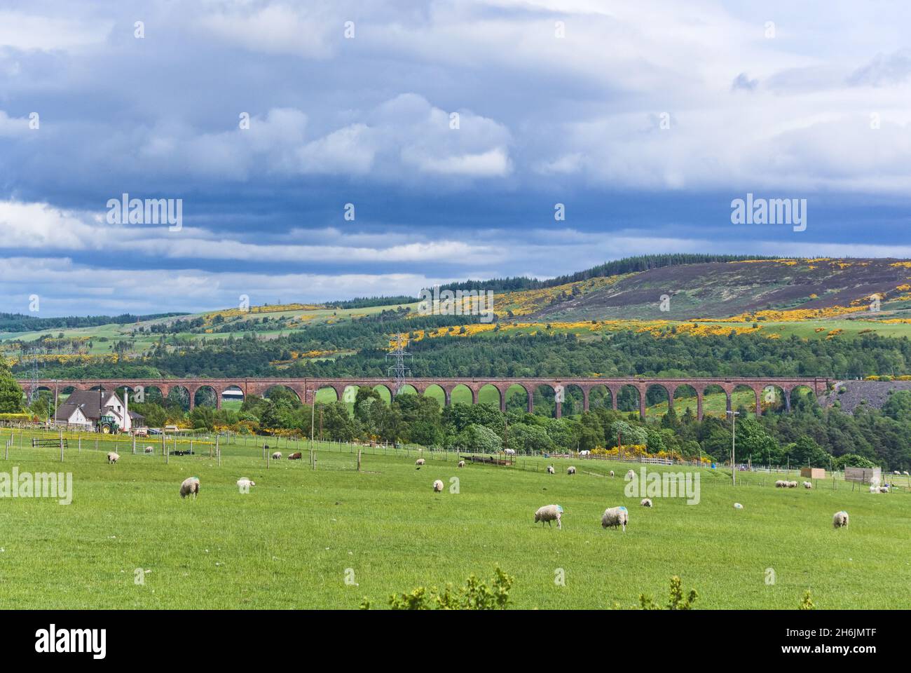 Culloden railway viaduct hi-res stock photography and images - Alamy