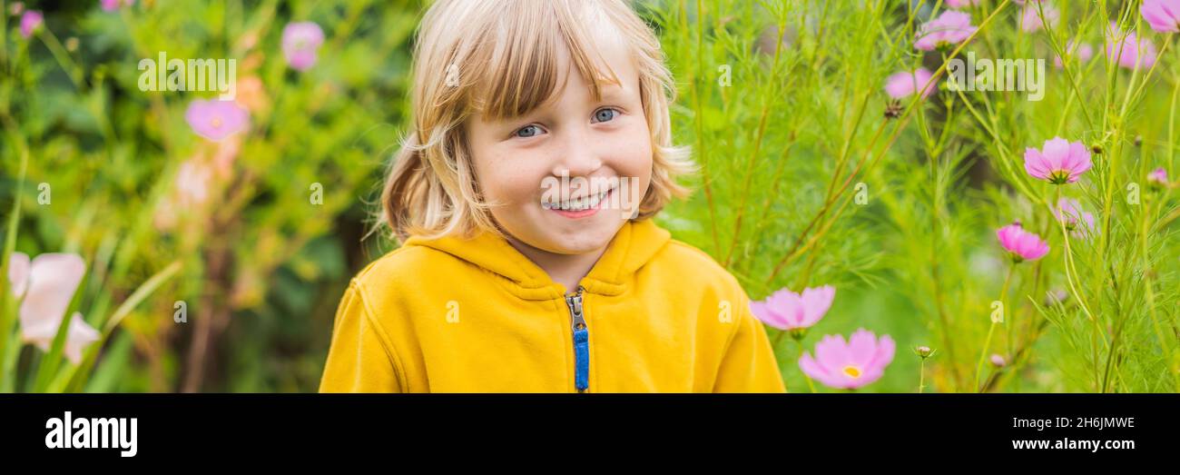 Boy enjoying pink flowers in the garden BANNER, LONG FORMAT Stock Photo ...