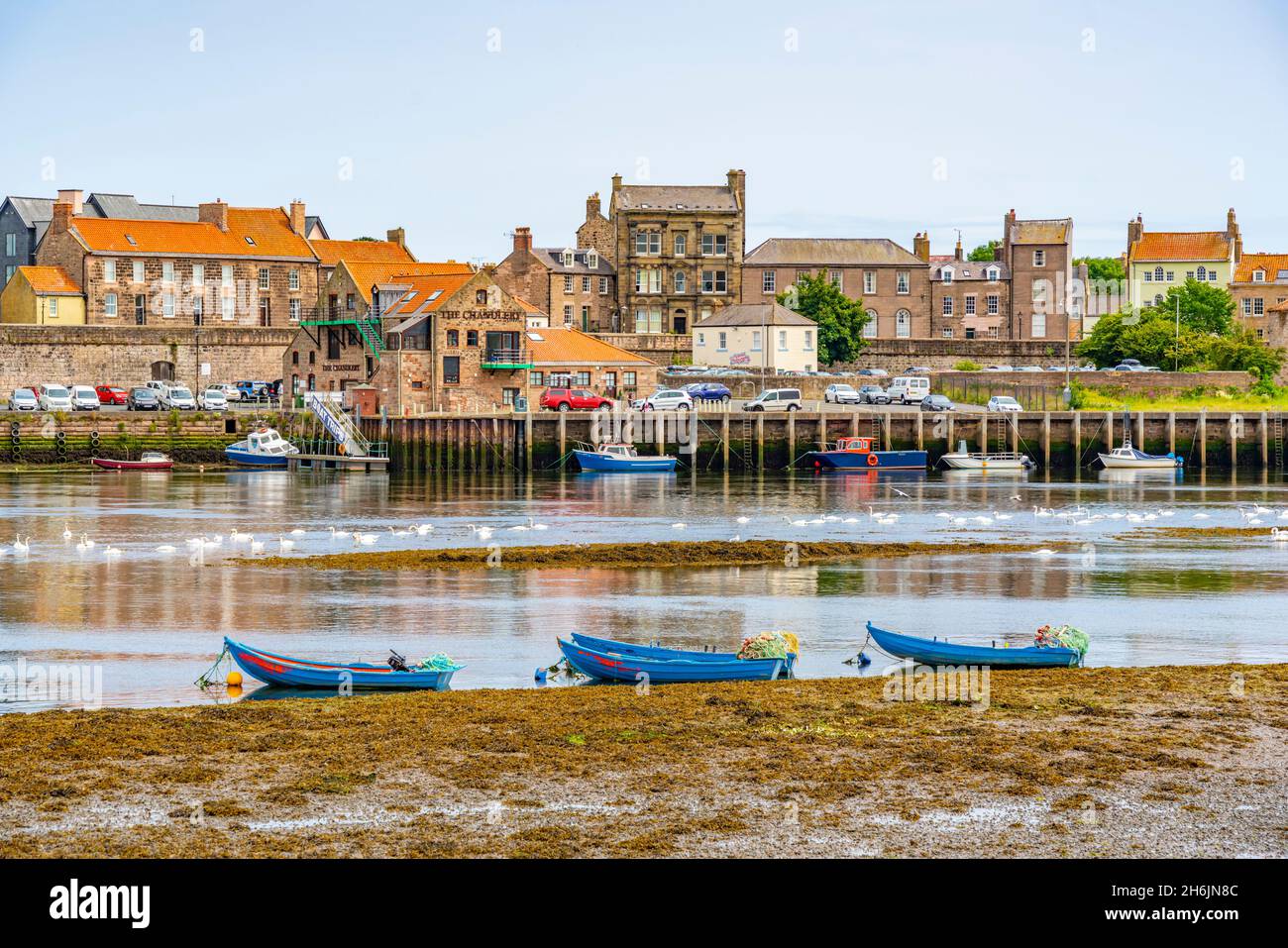 View of River Tweed and town buildings, Berwick-upon-Tweed ...