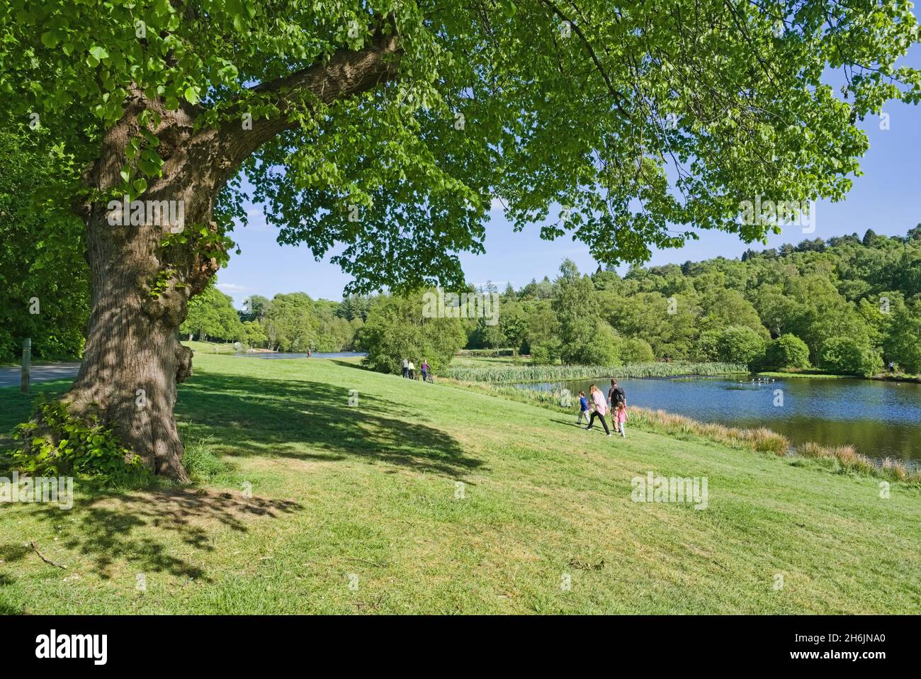 Popular Callendar Public Park, Callander House, Chateau, Mansion ...