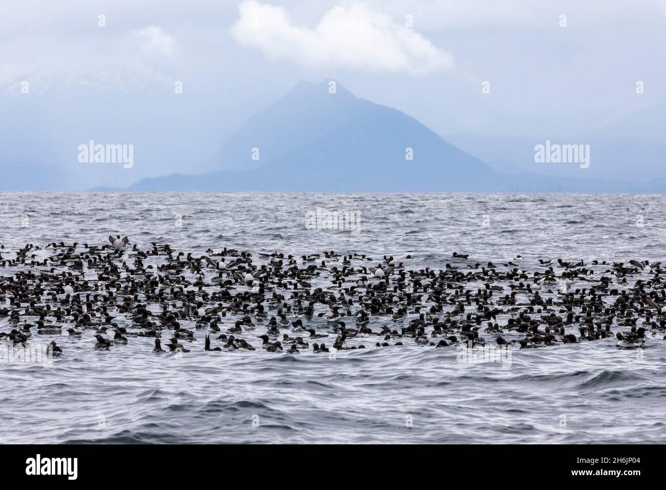 St lazaria island hi-res stock photography and images - Alamy