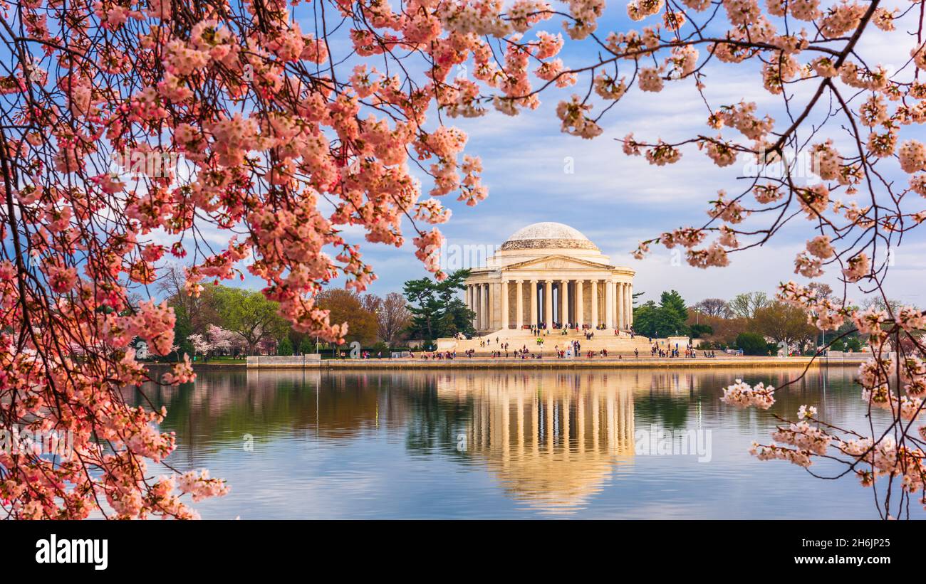Washington, DC at the Tidal Basin and Jefferson Memorial during spring ...
