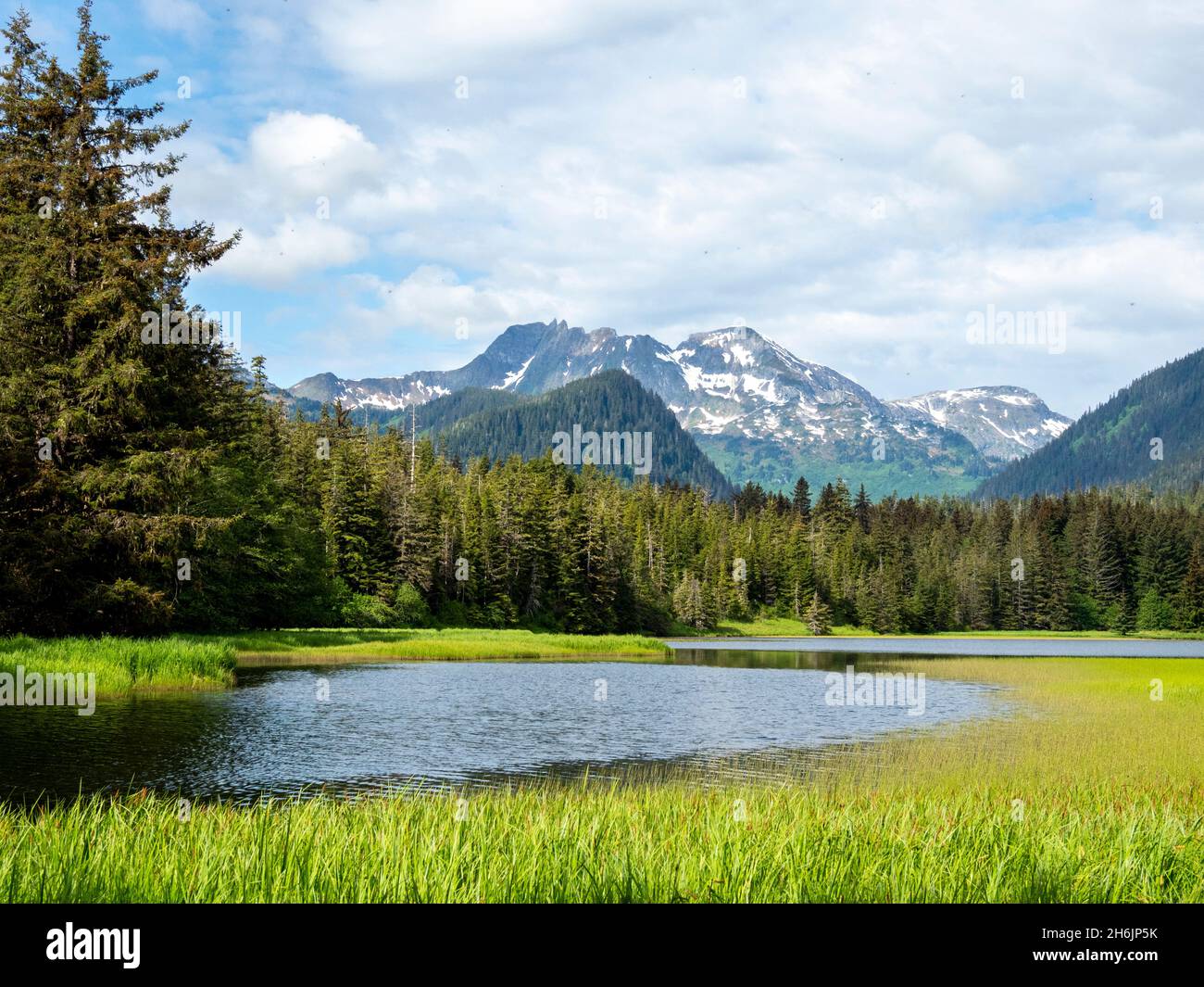 Tree above lake hi-res stock photography and images - Alamy