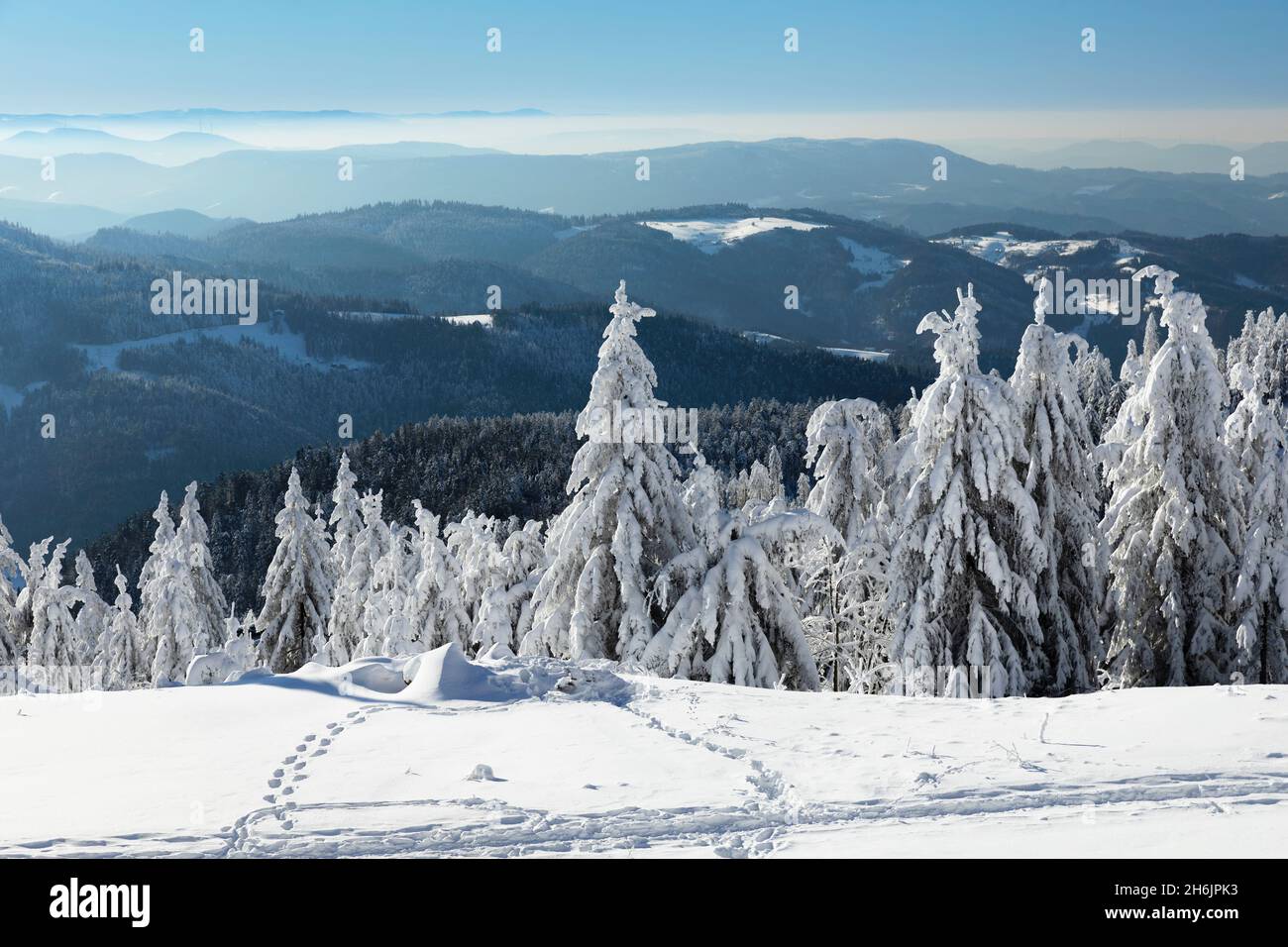 View winter forest from mountain hi-res stock photography and images ...