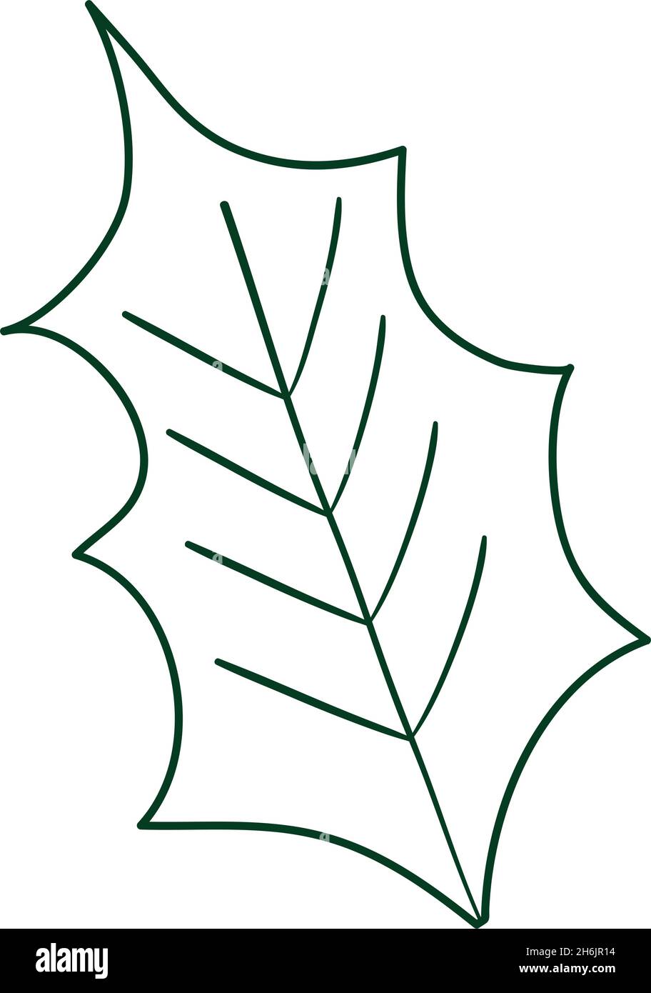 mistletoe leaf on white background Stock Vector Image & Art - Alamy