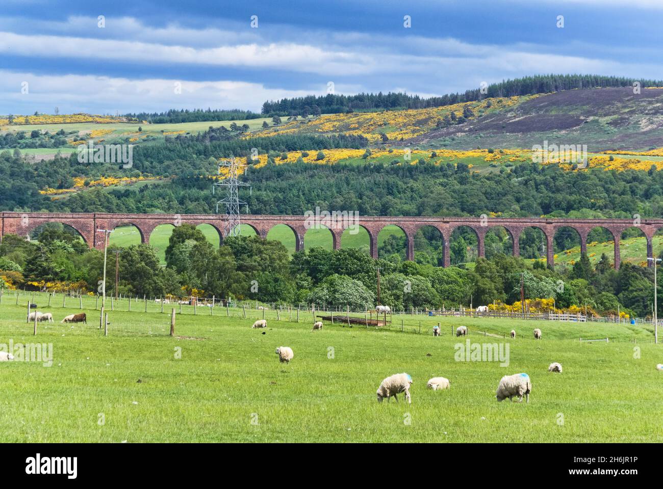 Culloden railway viaduct hi-res stock photography and images - Alamy