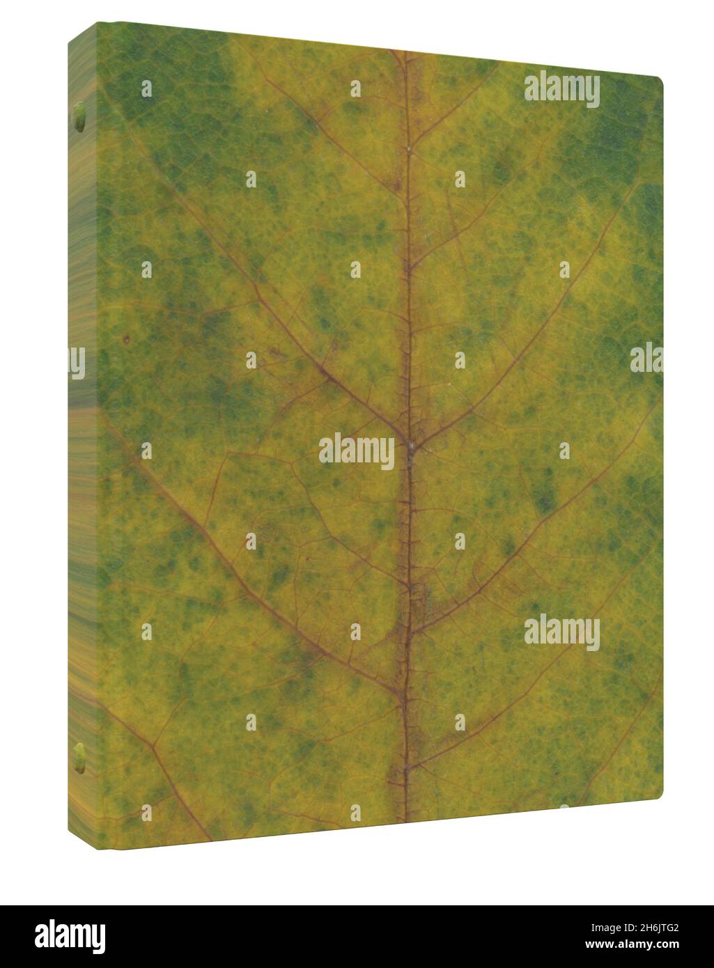 Binder leaf hi-res stock photography and images - Alamy