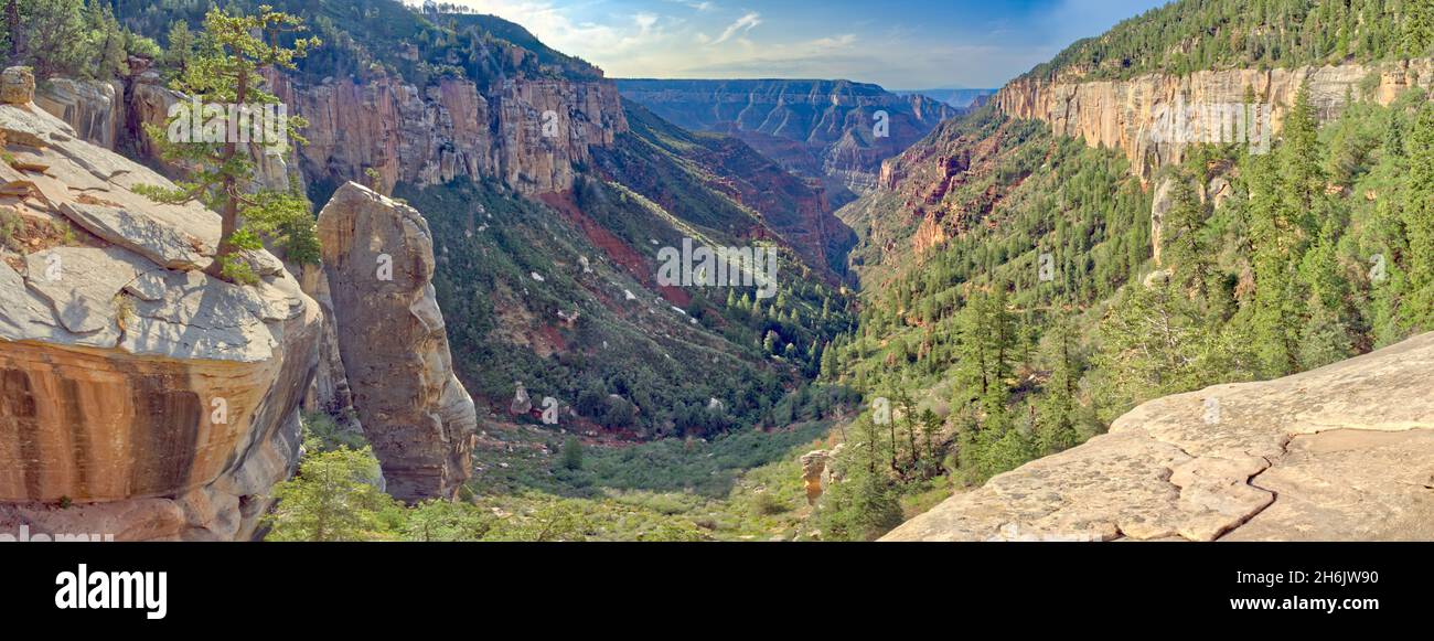 Bright Angel Canyon viewed from Coconino Overlook along North Kaibab ...