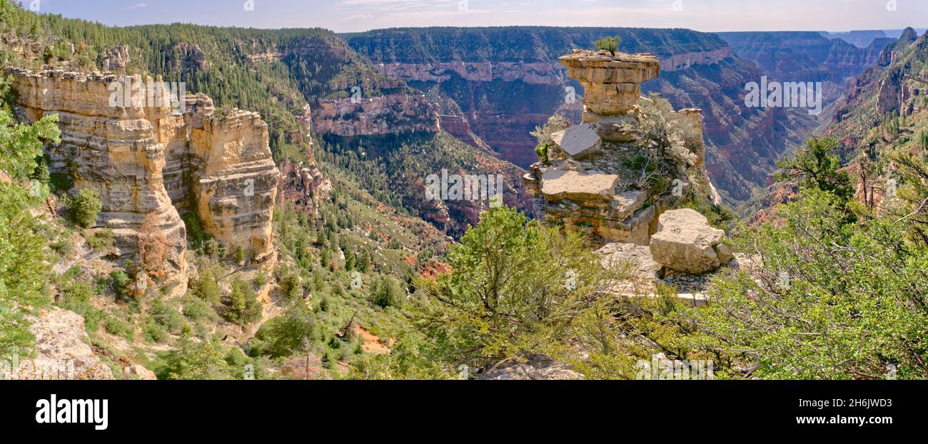 Tabletop Rock on the cliffs of the Transept Canyon at Grand Canyon ...