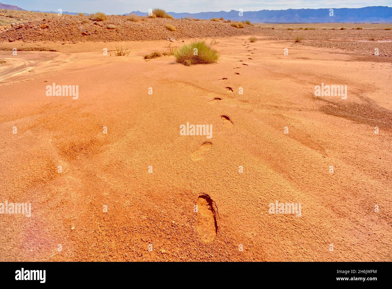 Human footprints hi-res stock photography and images - Alamy