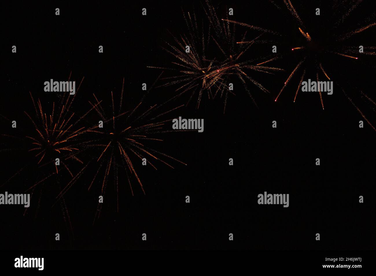 firework on the black sky. High quality photo Stock Photo - Alamy