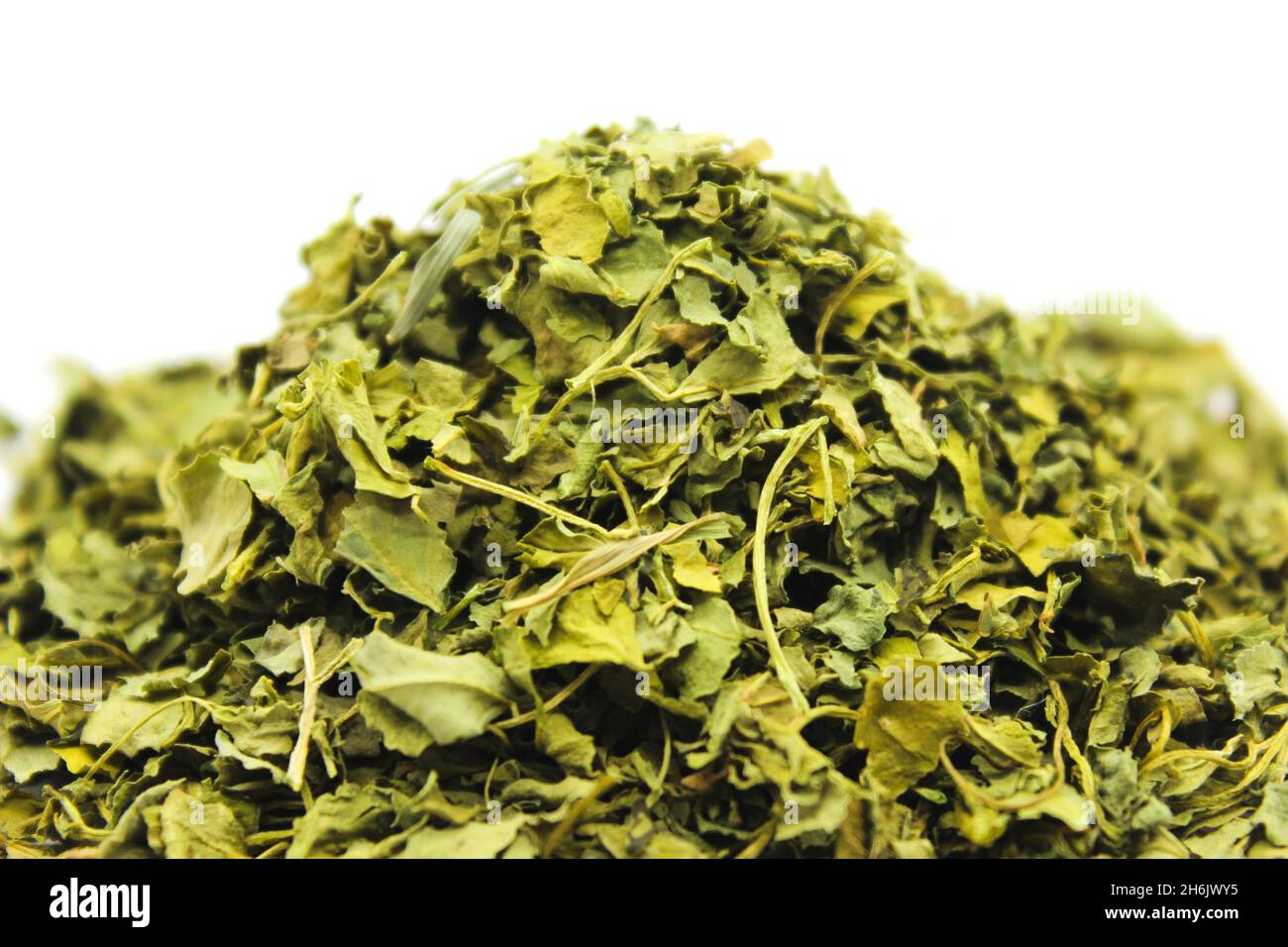Methi plant hi-res stock photography and images - Alamy