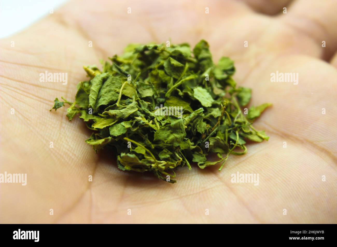 Methi plant hi-res stock photography and images - Alamy