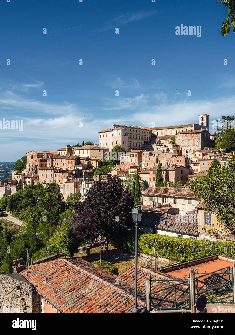 Todis hi-res stock photography and images - Alamy