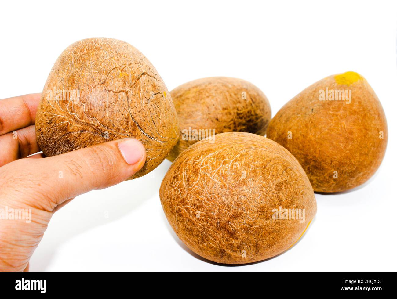 Coconuts on white background with selective focus Stock Photo - Alamy